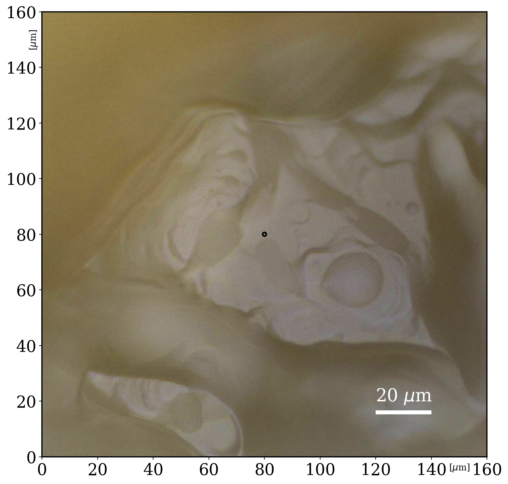 NASA Ames Raman Spectroscopic Database